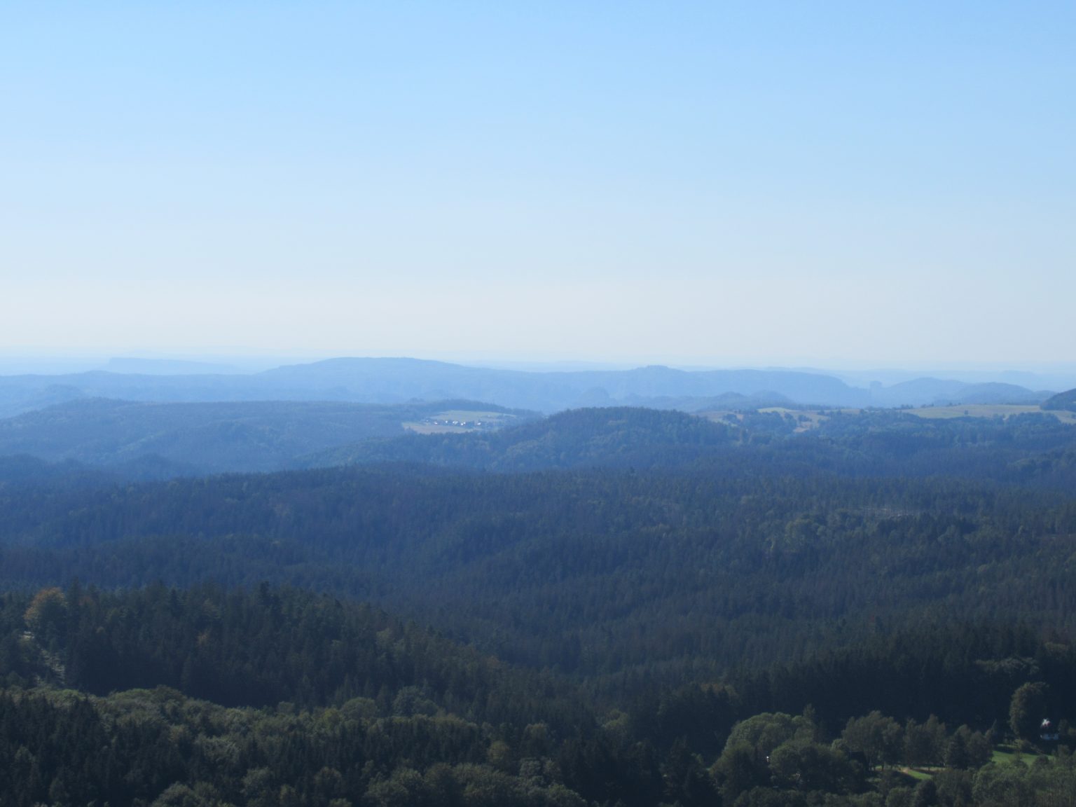 Autumn walks « Ricky Yates