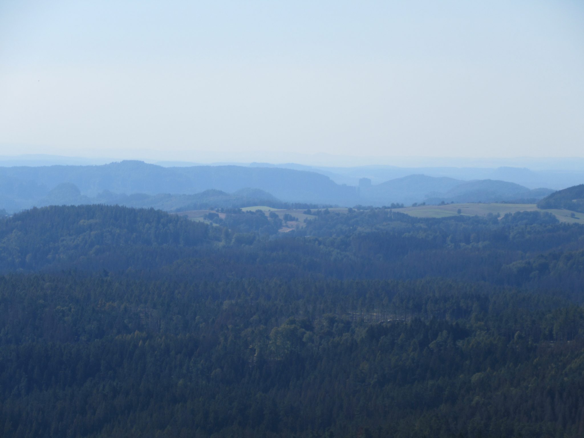 Autumn walks « Ricky Yates